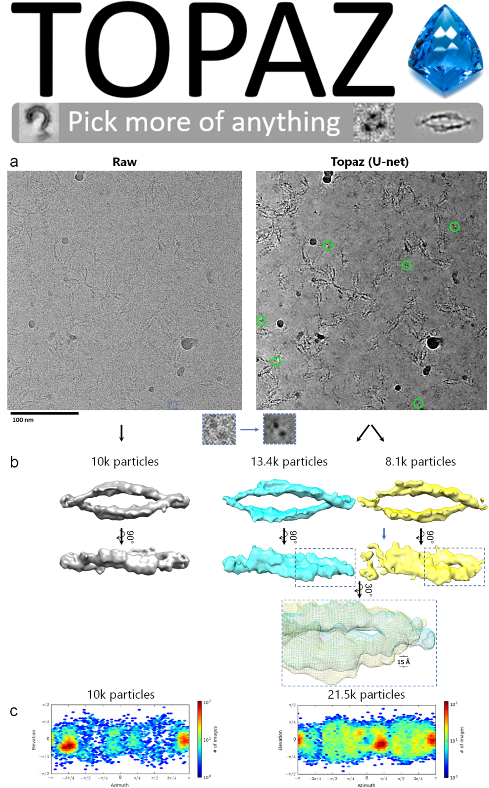 2020/10/21: Alex Noble: Neural network particle picking and denoising in cryoEM with Topaz – One ...